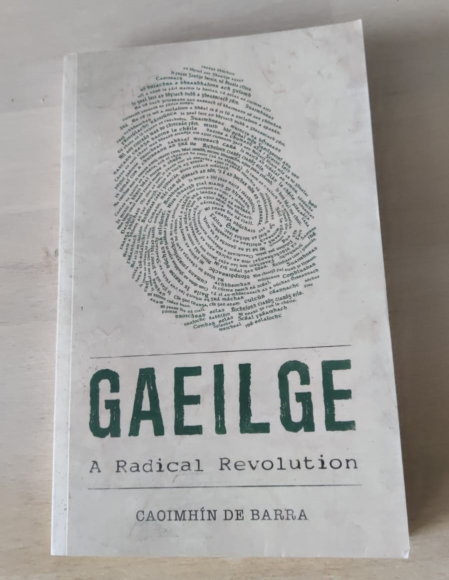 A Chat with Daithí de Buitléir – Founding Chairperson of na Gaeil Óga ...